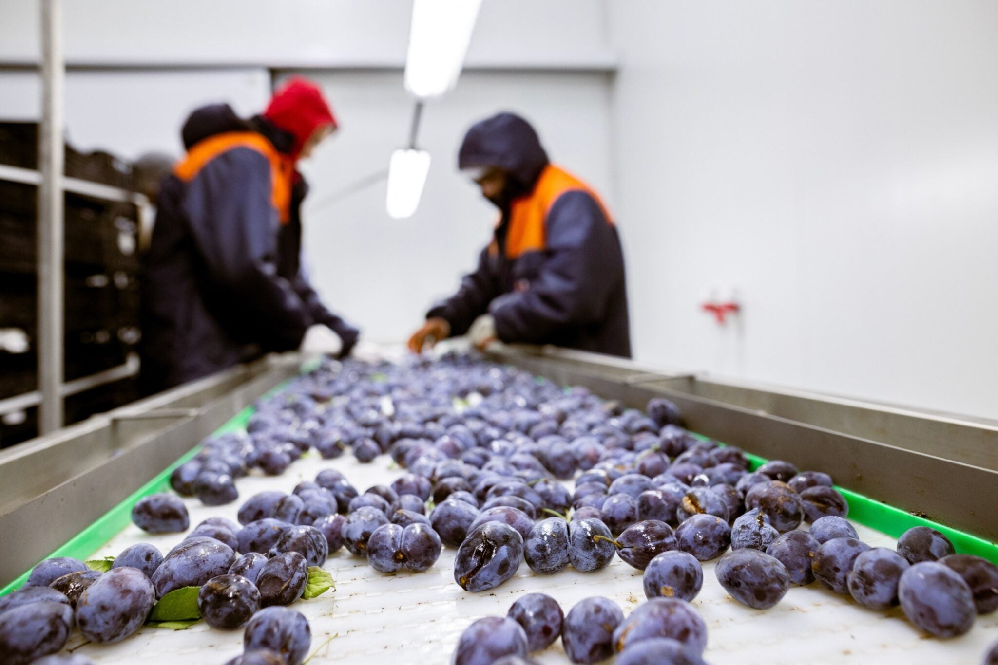 Transforming Cold Food Distribution with Technology | Foster Cold Storage